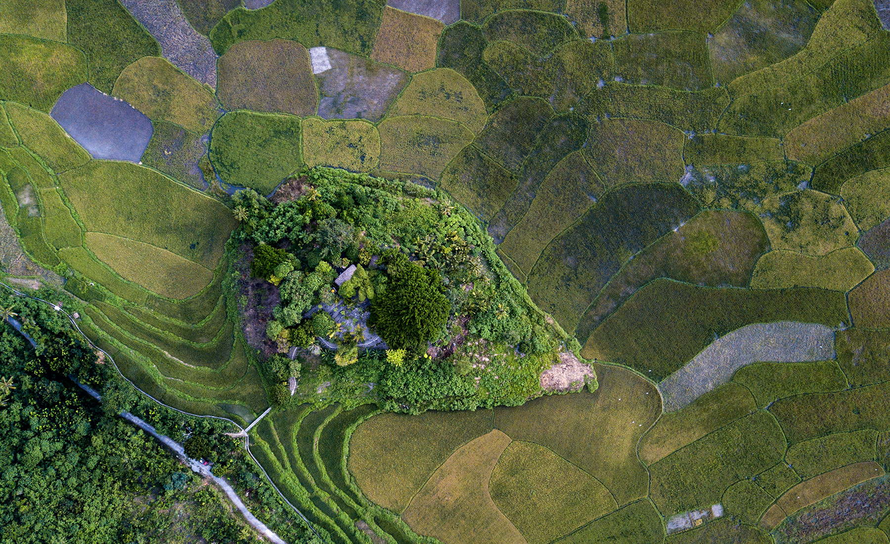 Rice Island Trekking - NIHI Sumba
